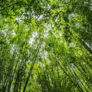 Projet | Mobilités inclusives | ULaval | Mobilité Inclusive